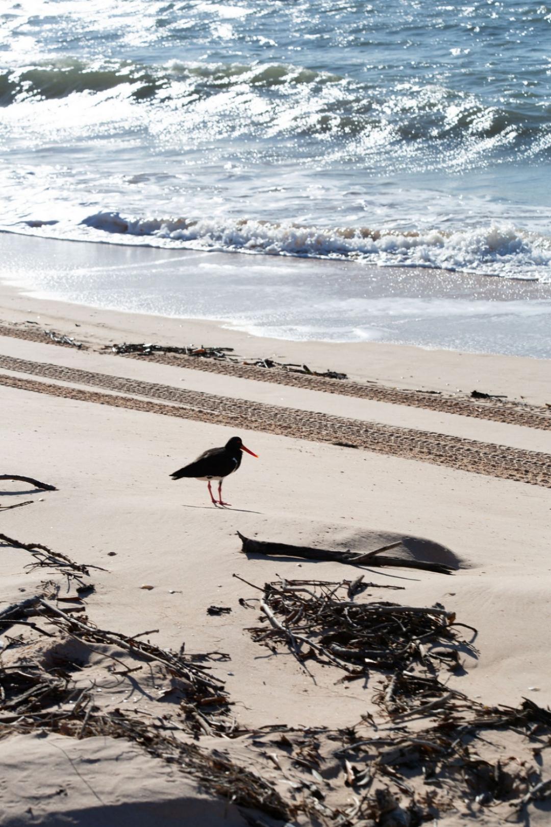 Berkeley River Lodge Official Site - Australia's most remote luxury ...